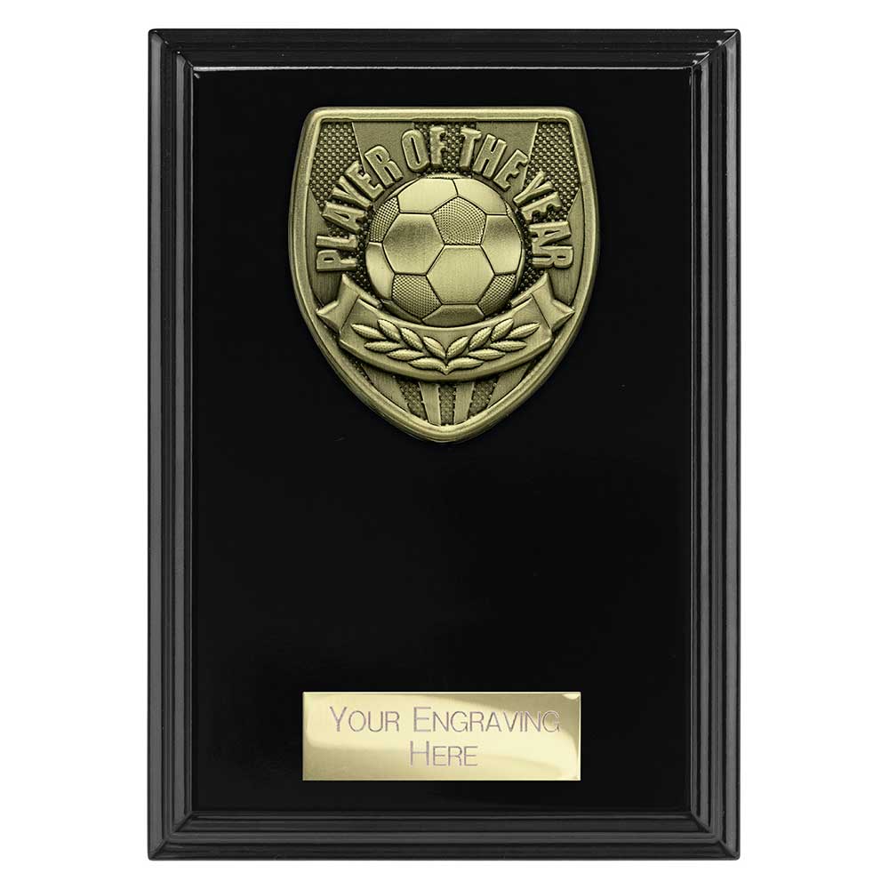 Cobra Plaque Player of the Year Football Trophy Award - Black | North ...