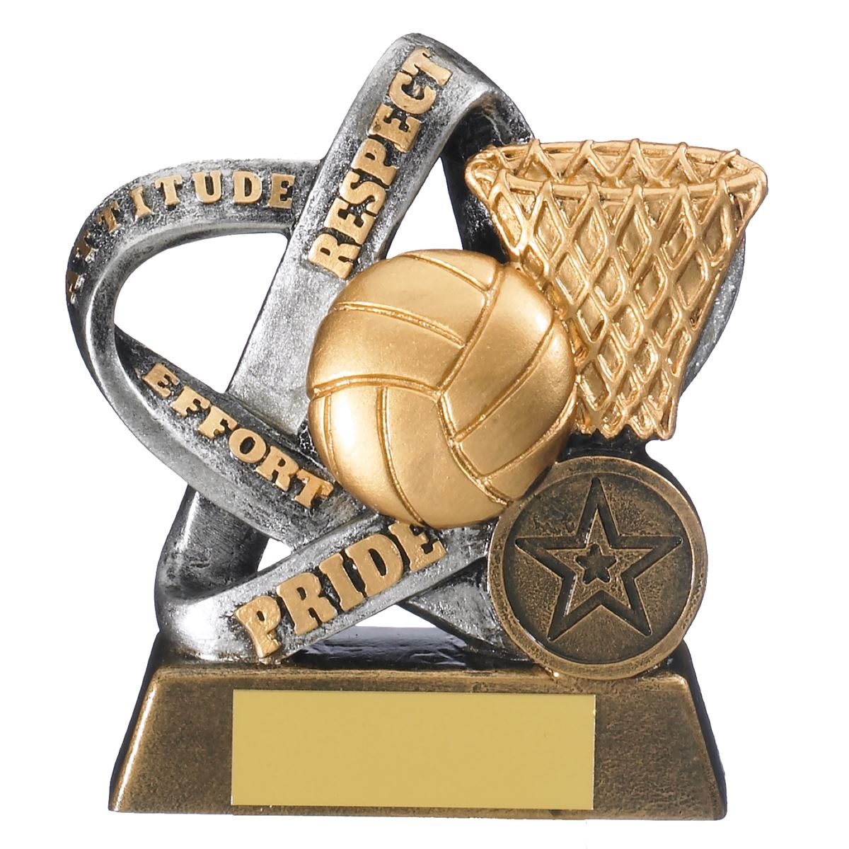 Netball Values Trophy Infinity Award – North East Trophies
