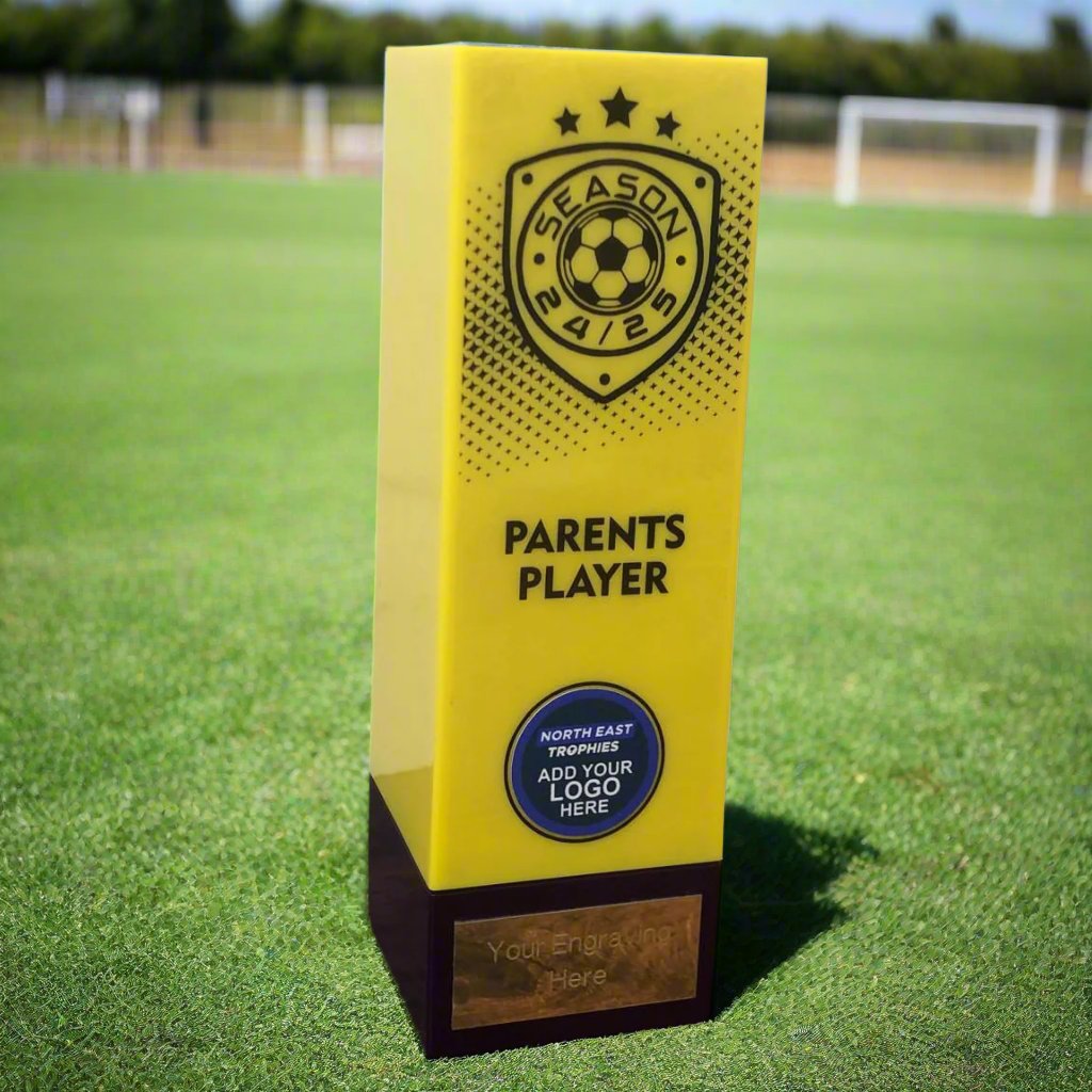 Prodigy Season 24/25 Parents Player Yellow & Purple Football Trophy Aw ...