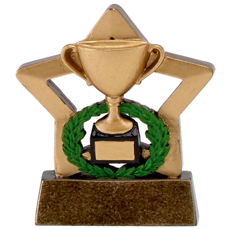 Gold Cup Mini Star Trophy Award | North East Trophies