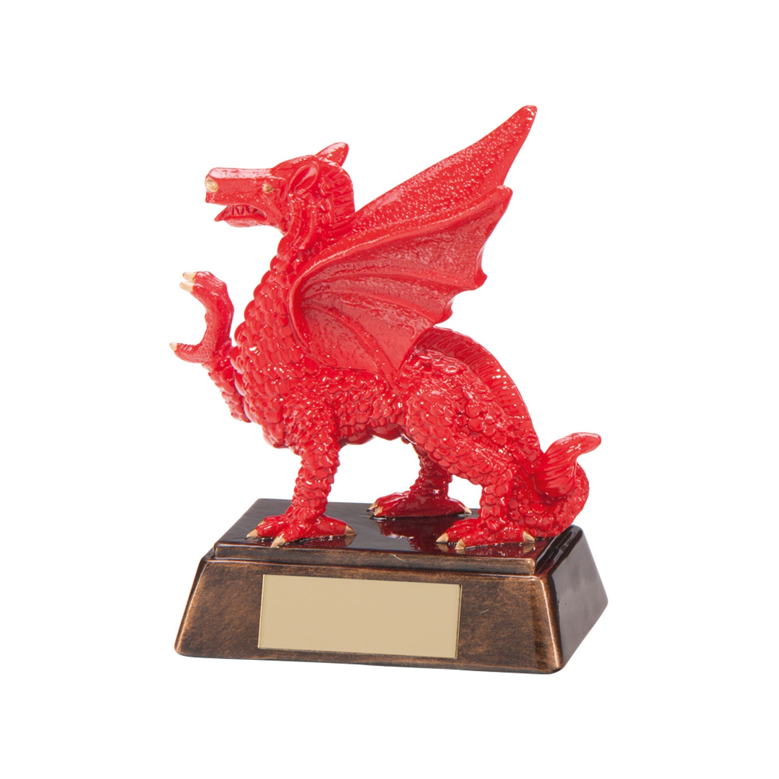 Celtic Dragon Rugby Award | North East Trophies