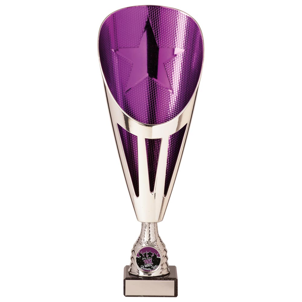 Rising Stars Deluxe Laser Cup in Silver & Purple – North East Trophies